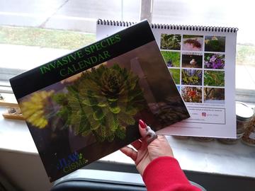 It's 2021! Get your Invasive Species Calendar now! – Washtenaw County ...