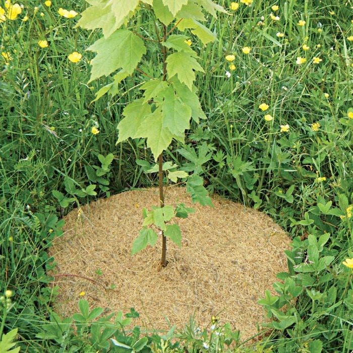 Coco Weed Guards – Washtenaw County Conservation District