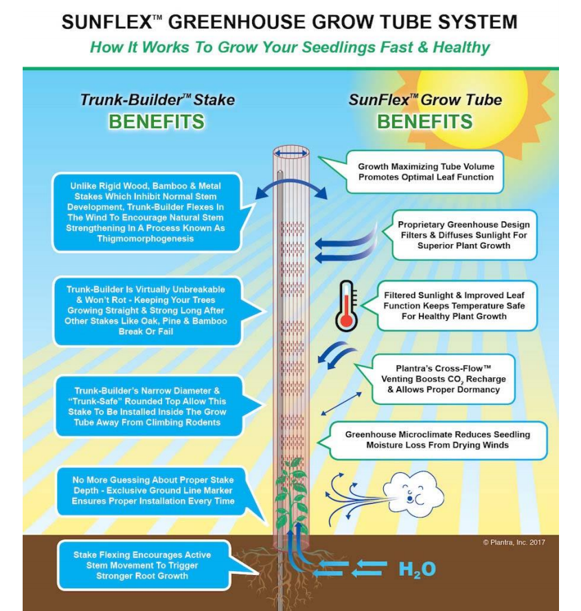 5 ft Tree Shelters (Grow Tube System) – Washtenaw County Conservation ...